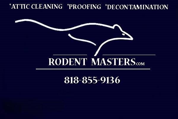 Rodent Masters - Rodent Control Los Angeles