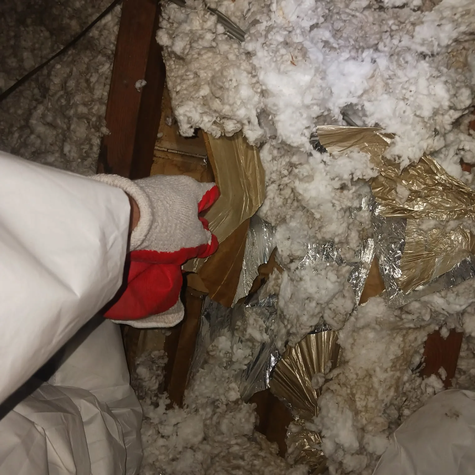 Rodent Control Practices Blog